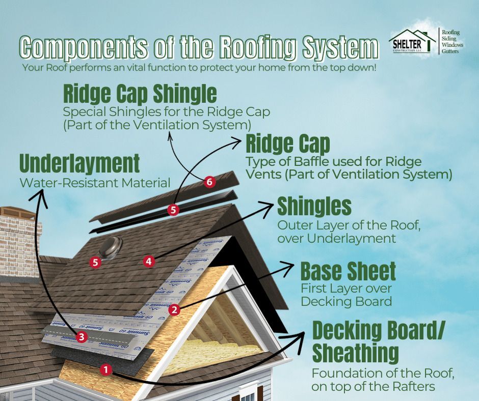 Safeguarding Your Shelter: A Guide To Your Roof System