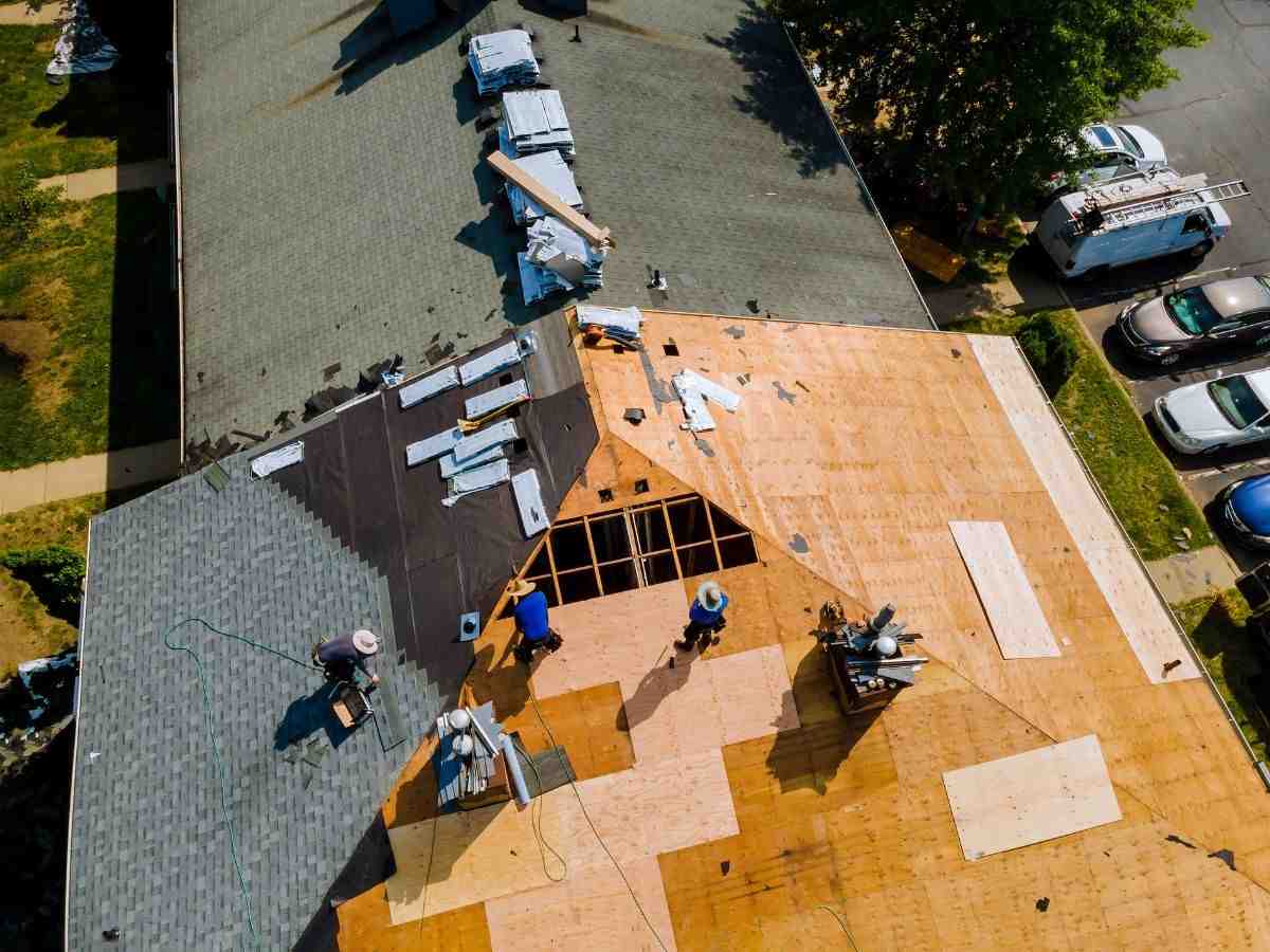 What Does Wind Damage Look Like on a Roof | Shelter